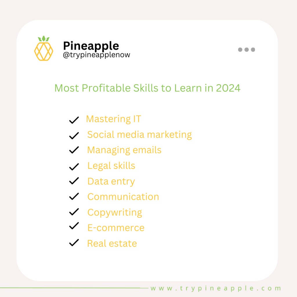 Most Profitable Skills to Learn in 2024 - Pineapple | Virtual Assistant Hub